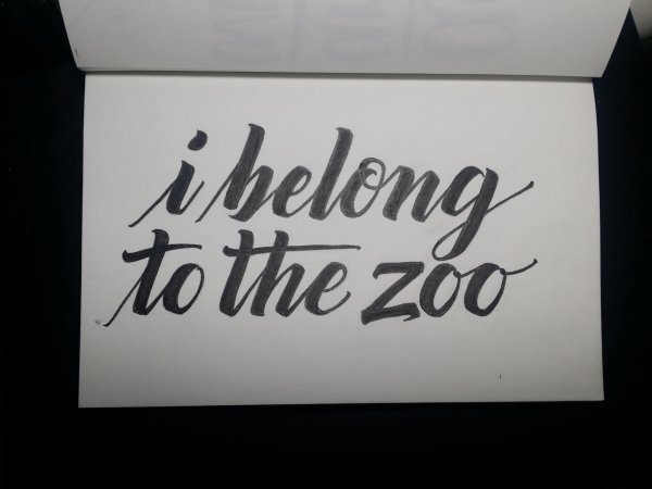 I Belong To The Zoo Lettering - Regie Bariuan